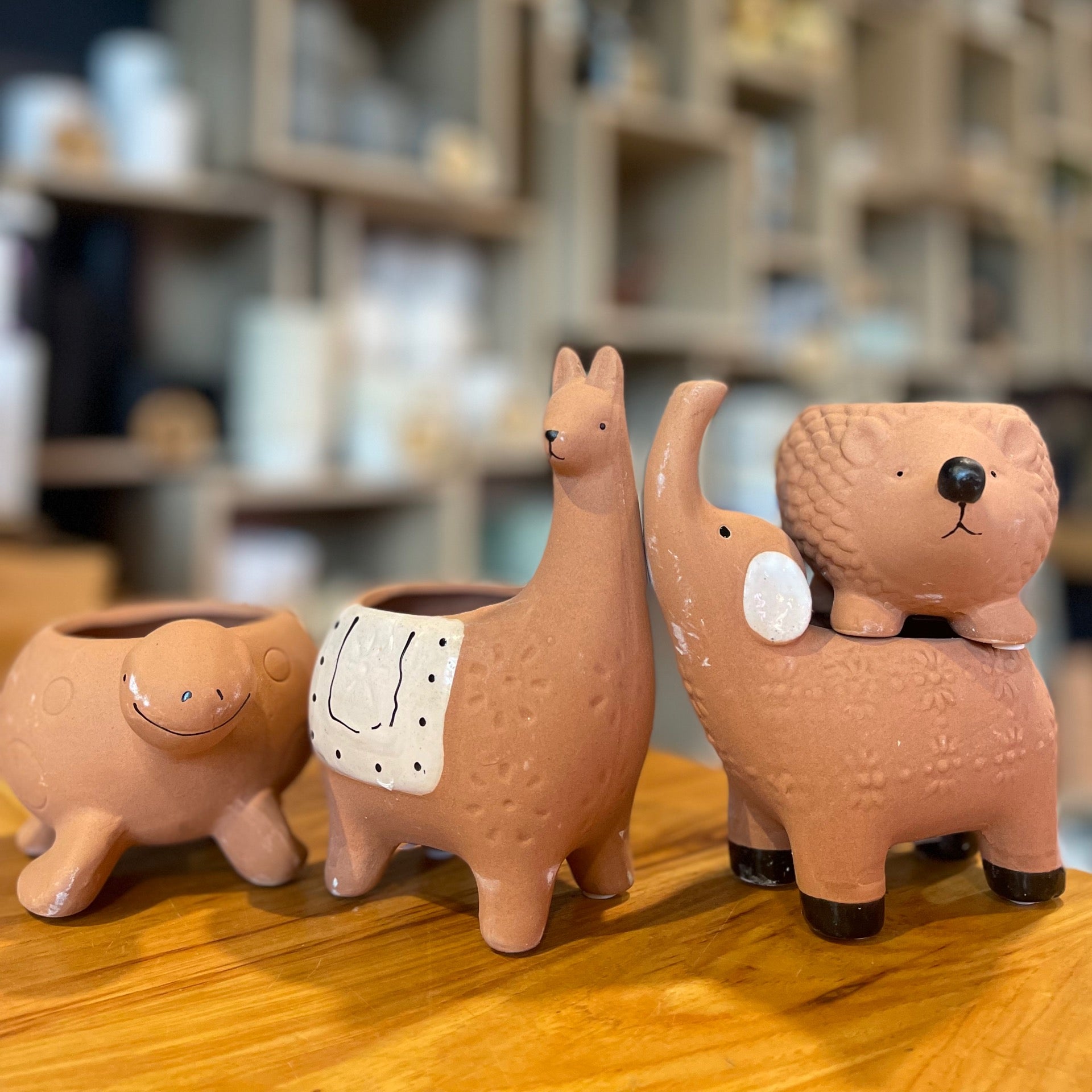 Terracotta Animal Pots | spotted leaf plant company