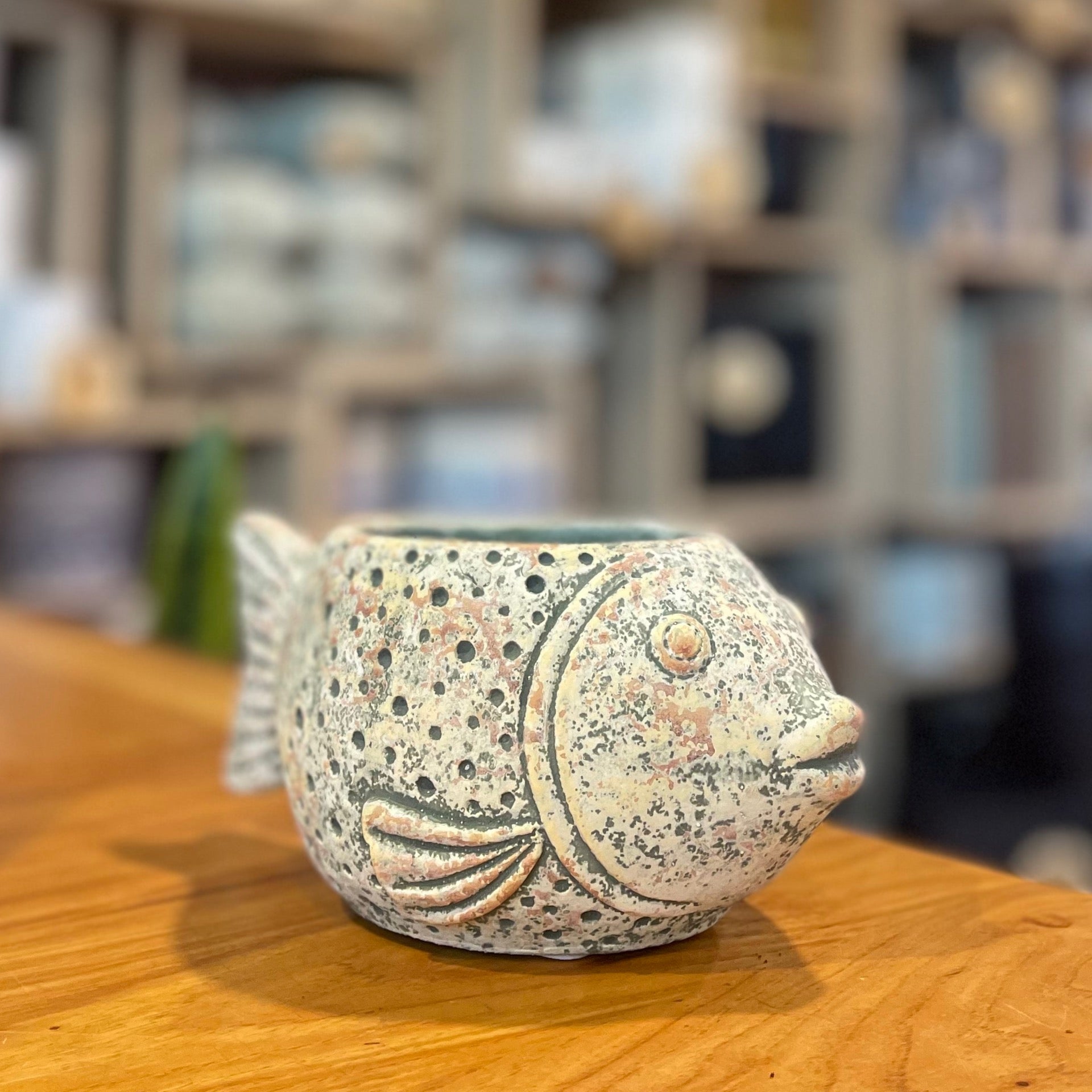 Cement Fish 3” | spotted leaf plant company