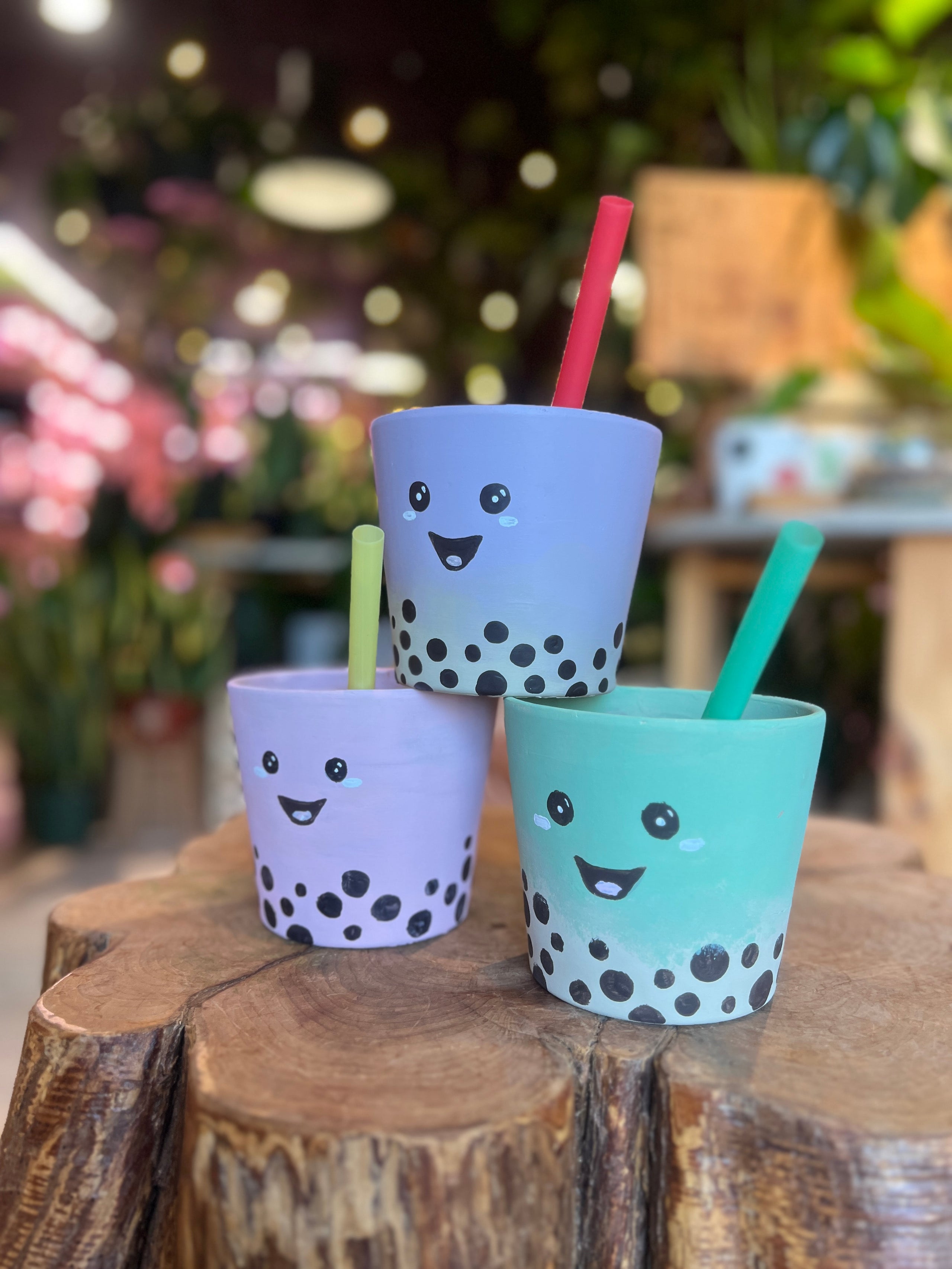 PLANT + SIP: boba time pot painting saturday 10/28 | spotted leaf plant ...